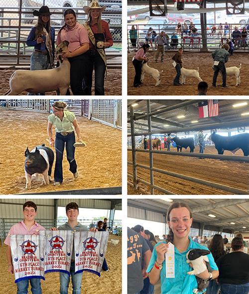 Alvin ISD students shine at 2022 Brazoria County Fair | Alvin ...