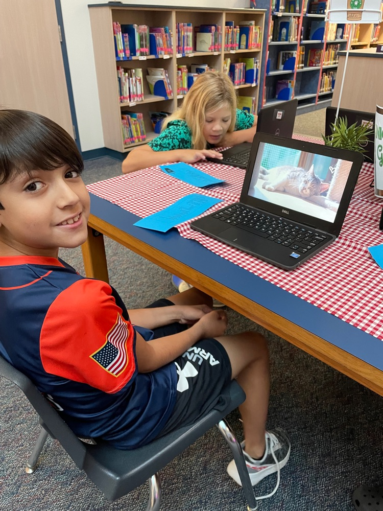 Live Feed | Hood-Case Elementary